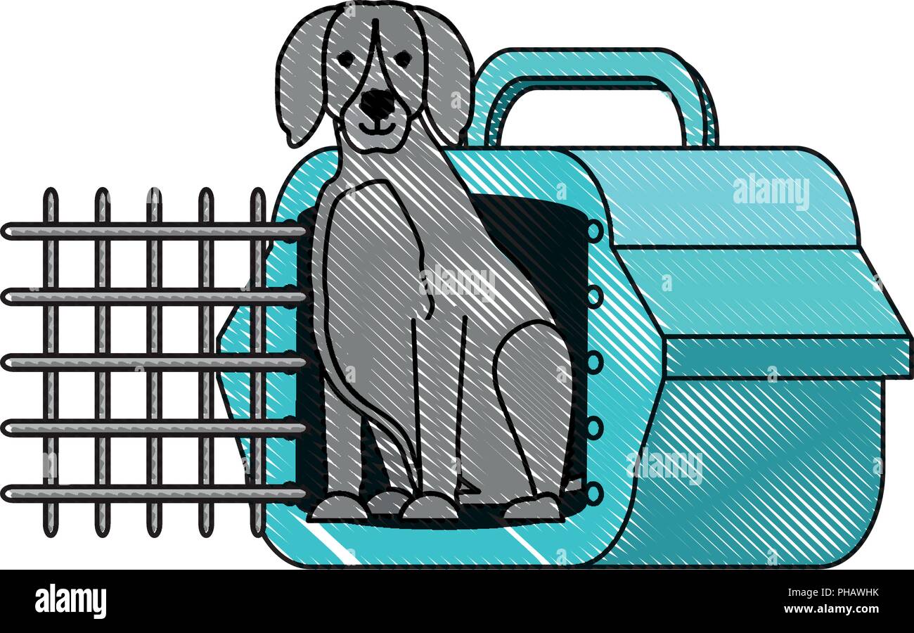 transport box with cute dog over white background, vector illustration ...