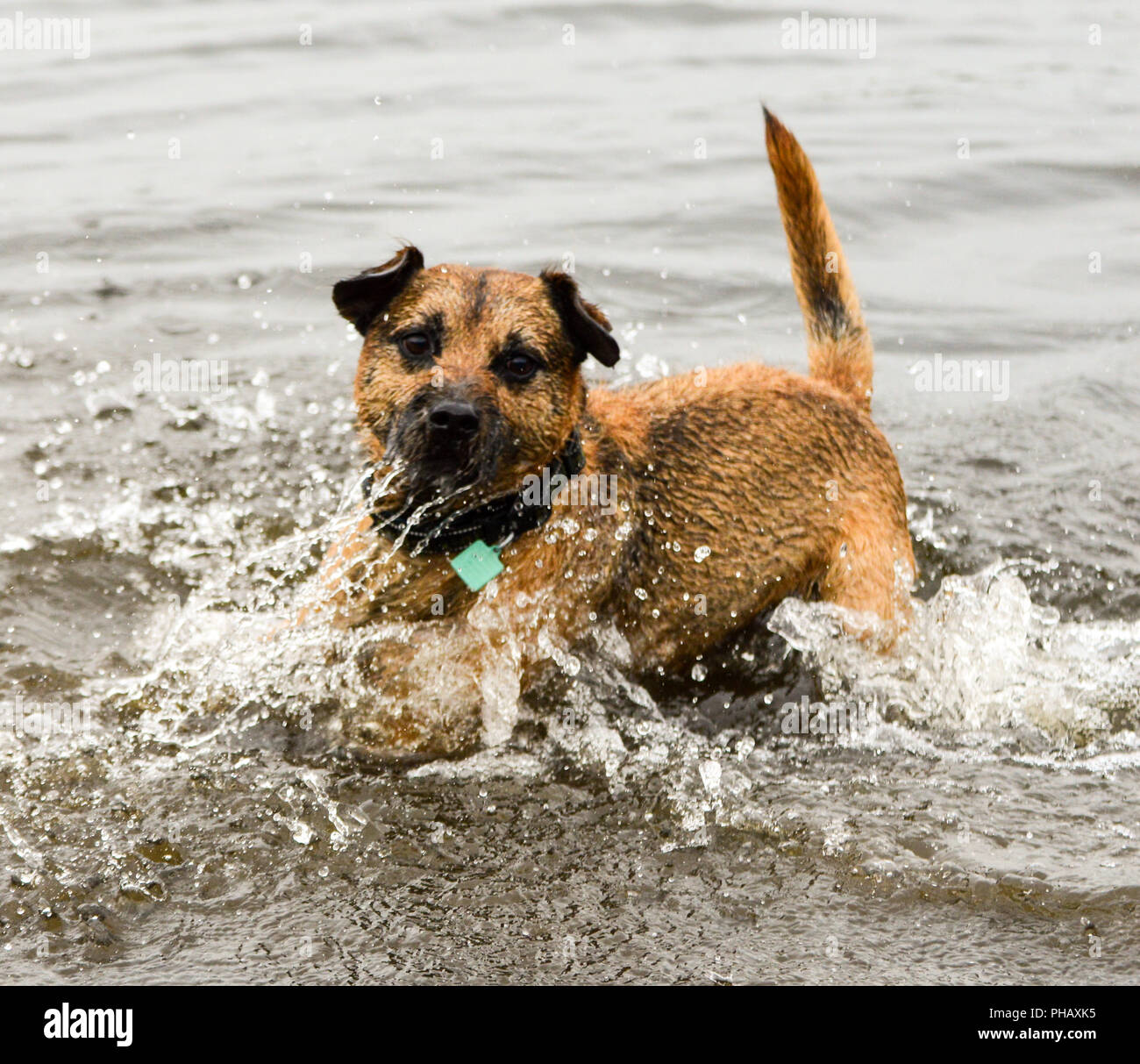 Chasing stones hi-res stock photography and images - Alamy