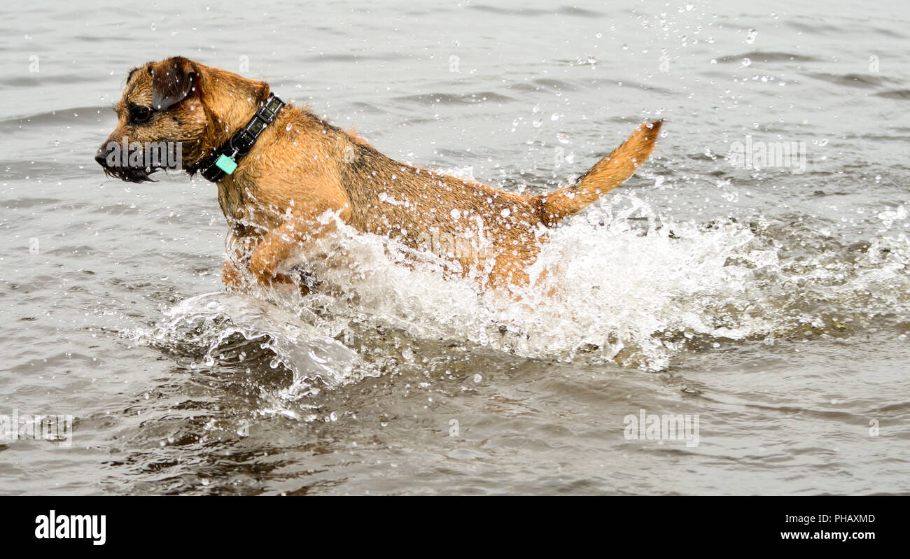 Chasing stones hi-res stock photography and images - Alamy