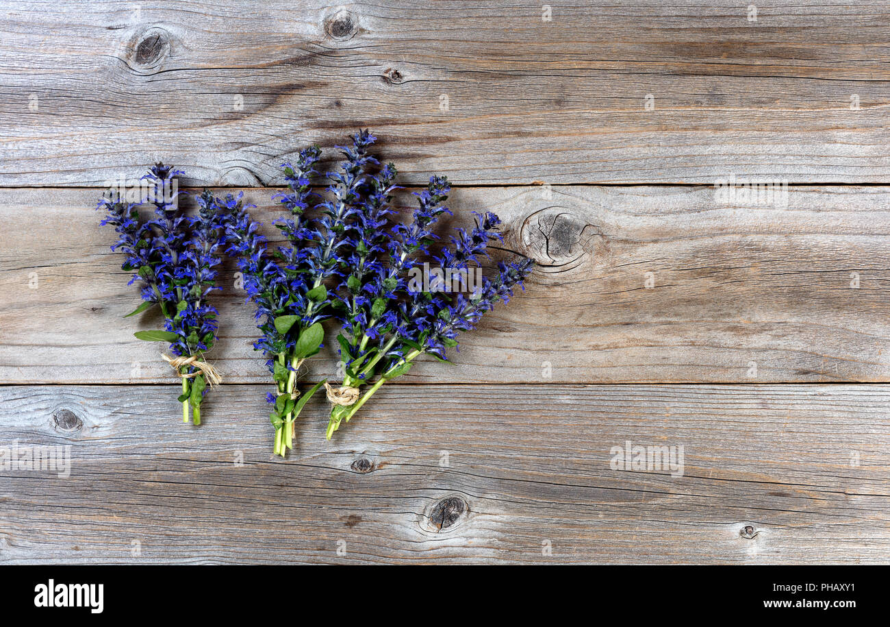 Fresh spring wild flowers on rustic wood background Stock Photo - Alamy