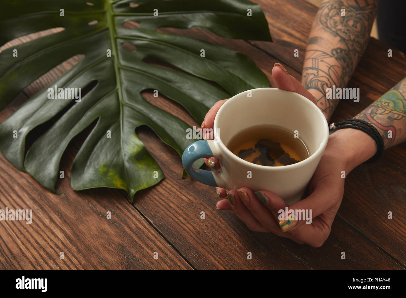 Female hands holding tea cup Stock Photo - Alamy