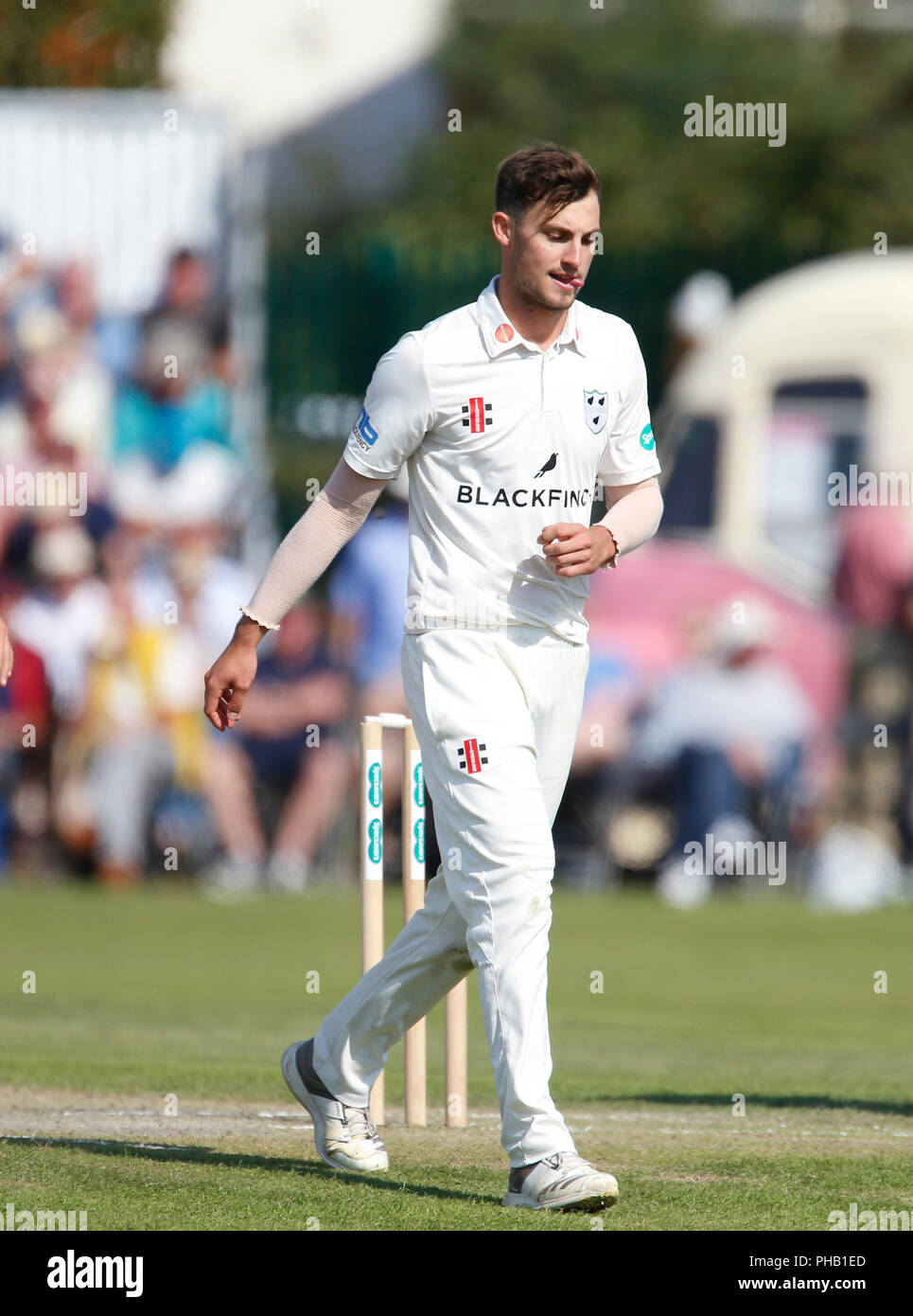 Ed barnard cricket hi-res stock photography and images - Alamy