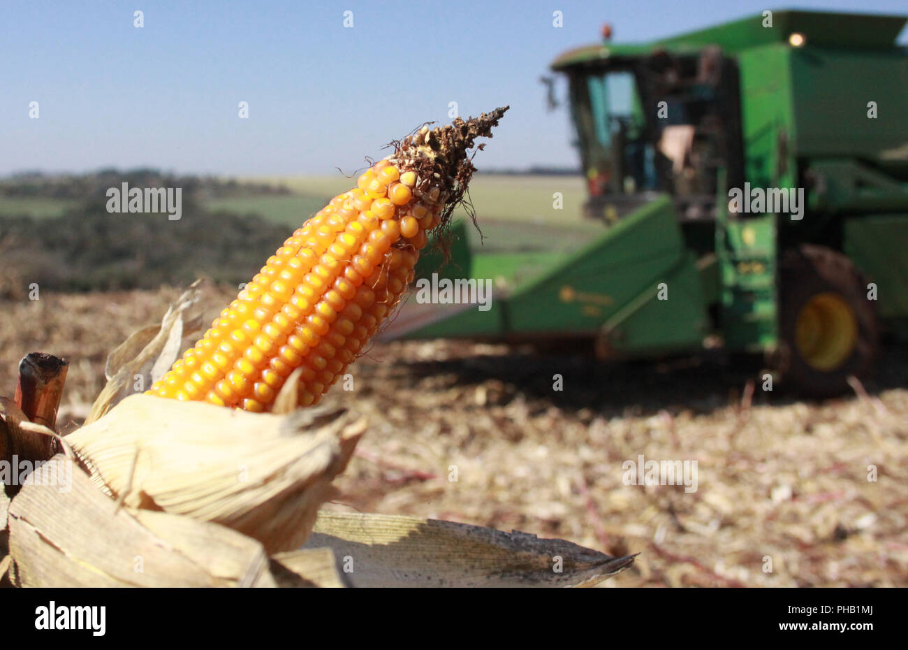 Corop hi-res stock photography and images - Alamy