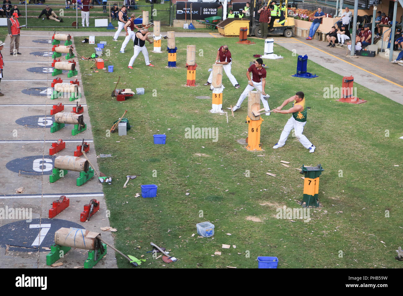 Wood chopping australia competition hi-res stock photography and images ...