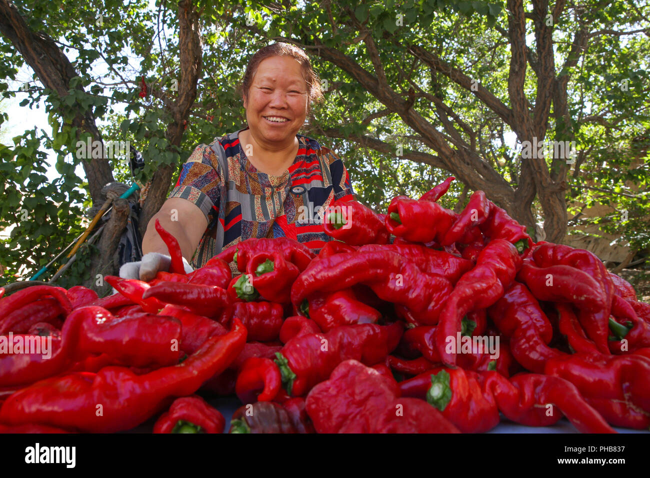 Barkol, China's Xinjiang Uygur Autonomous Region. 31st Aug, 2018. A ...