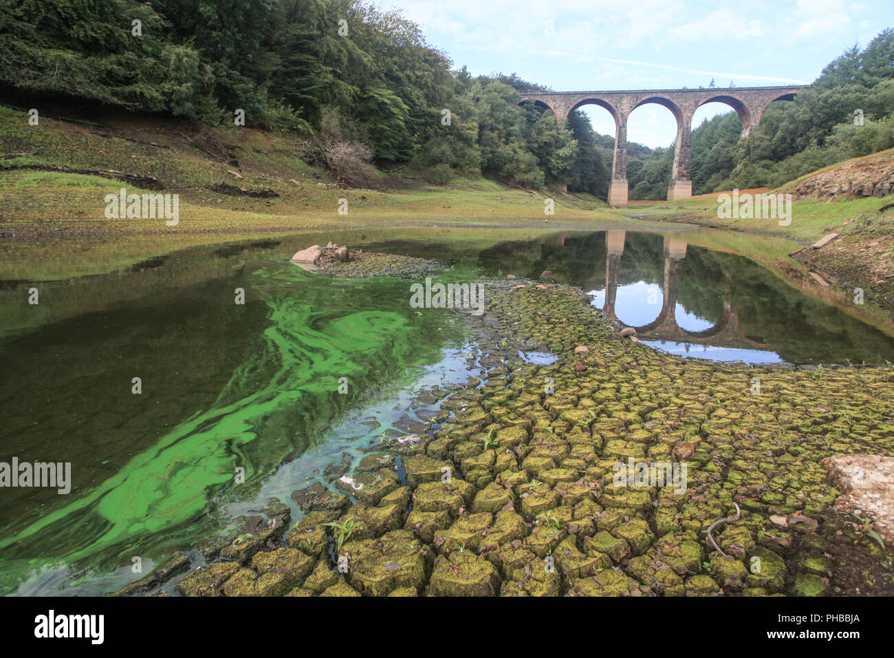 Wayoh reservoir hi-res stock photography and images - Alamy
