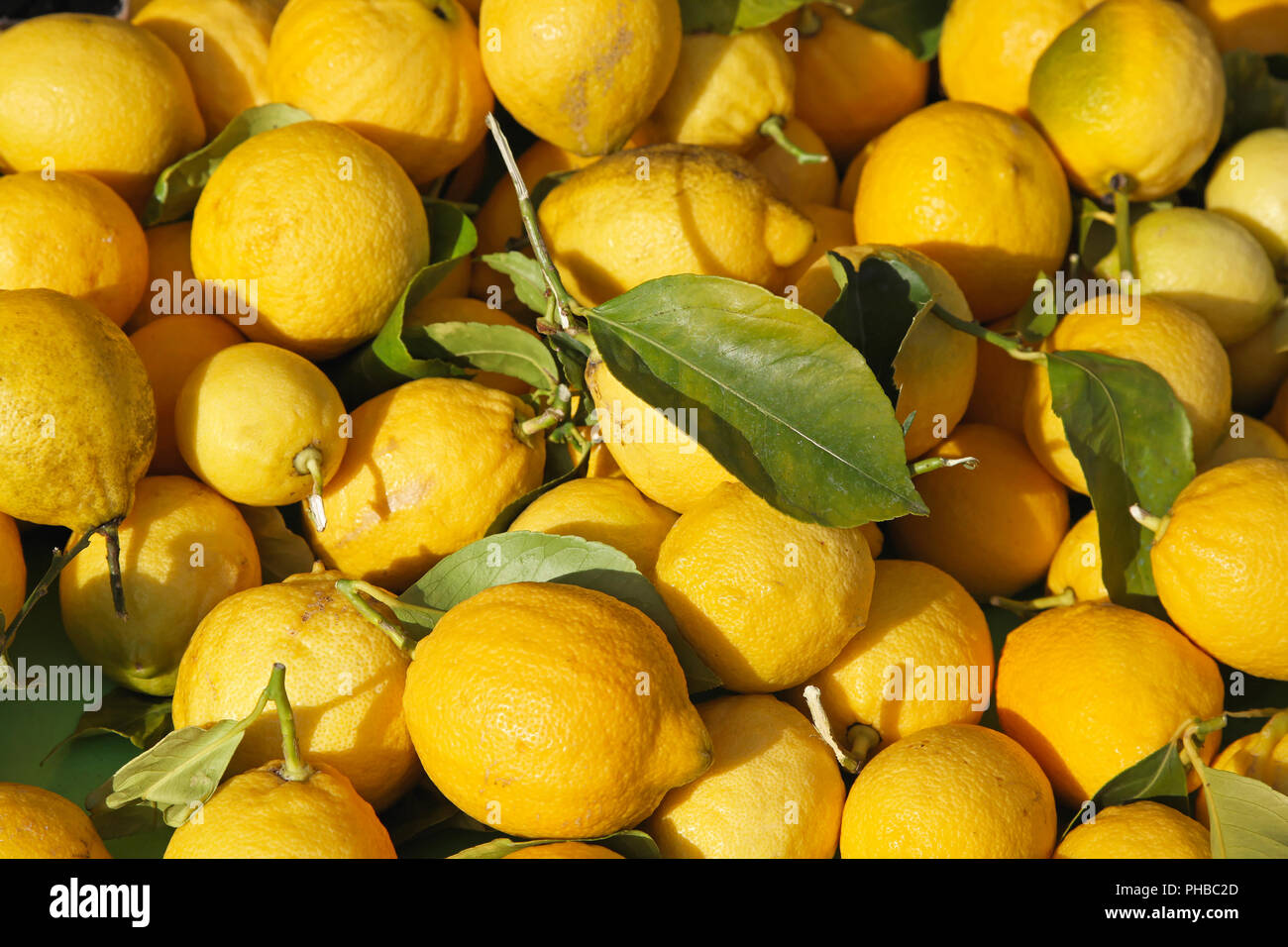 Big lemons hi-res stock photography and images - Alamy