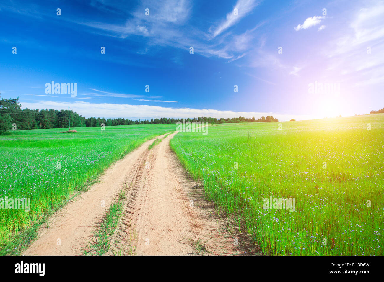 beautiful field and road Stock Photo - Alamy