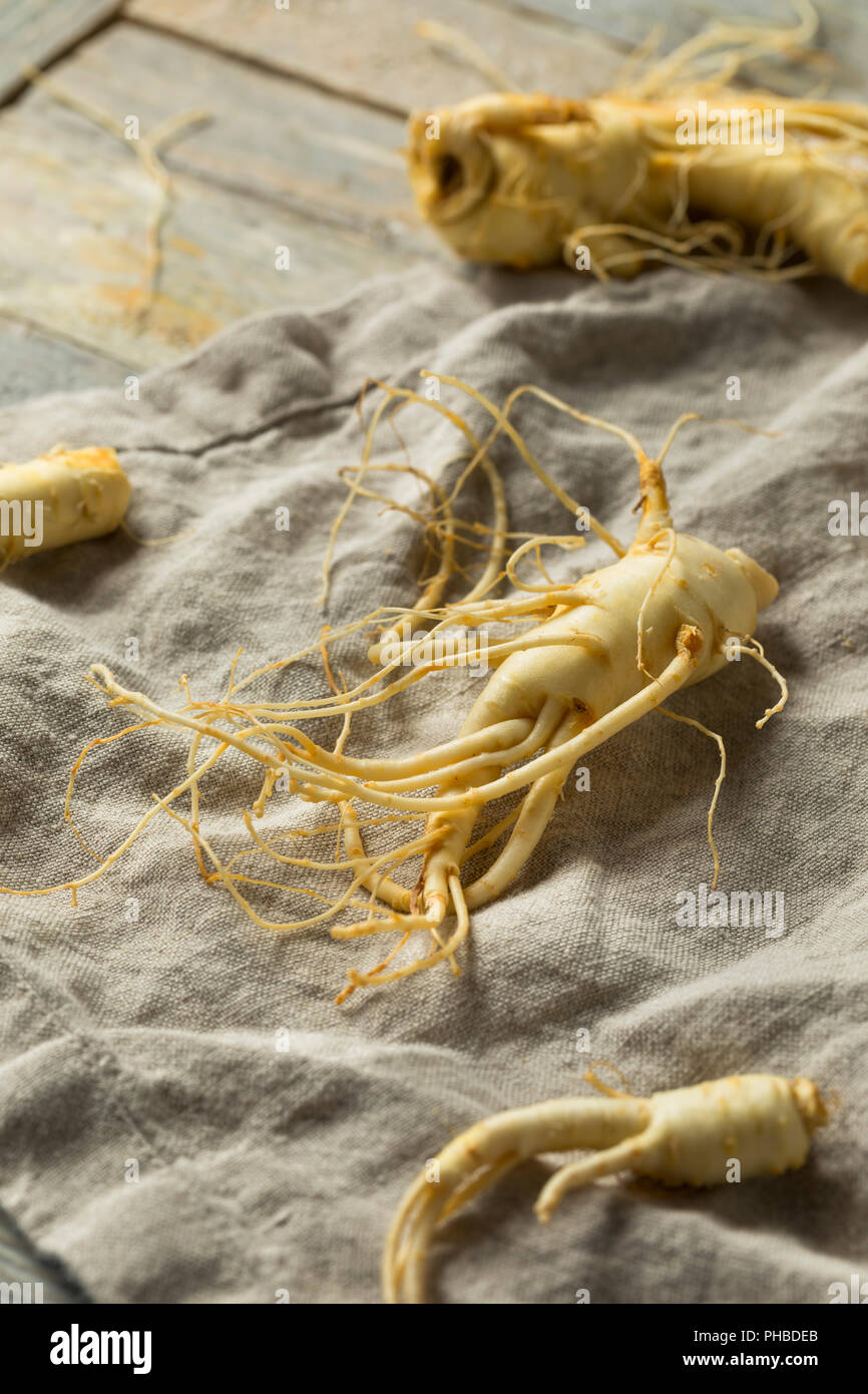 Raw Organic Healthy Ginseng Root Ready to Use Stock Photo - Alamy