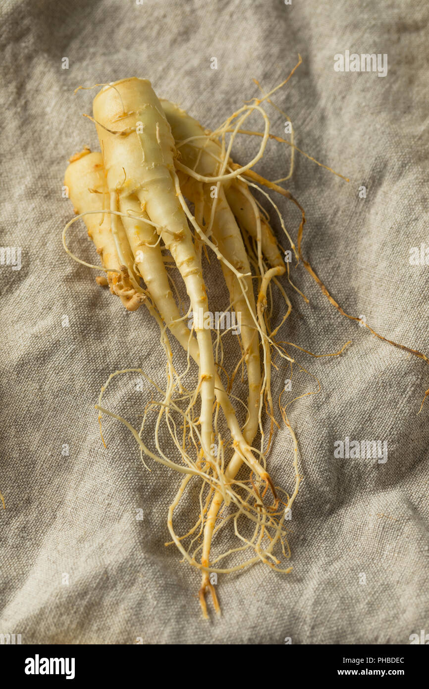 Raw Organic Healthy Ginseng Root Ready to Use Stock Photo - Alamy