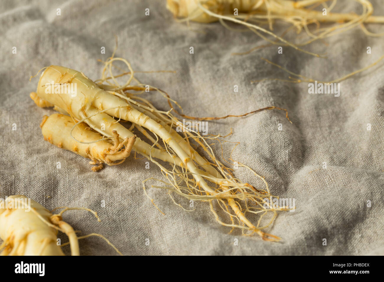 Raw Organic Healthy Ginseng Root Ready to Use Stock Photo - Alamy