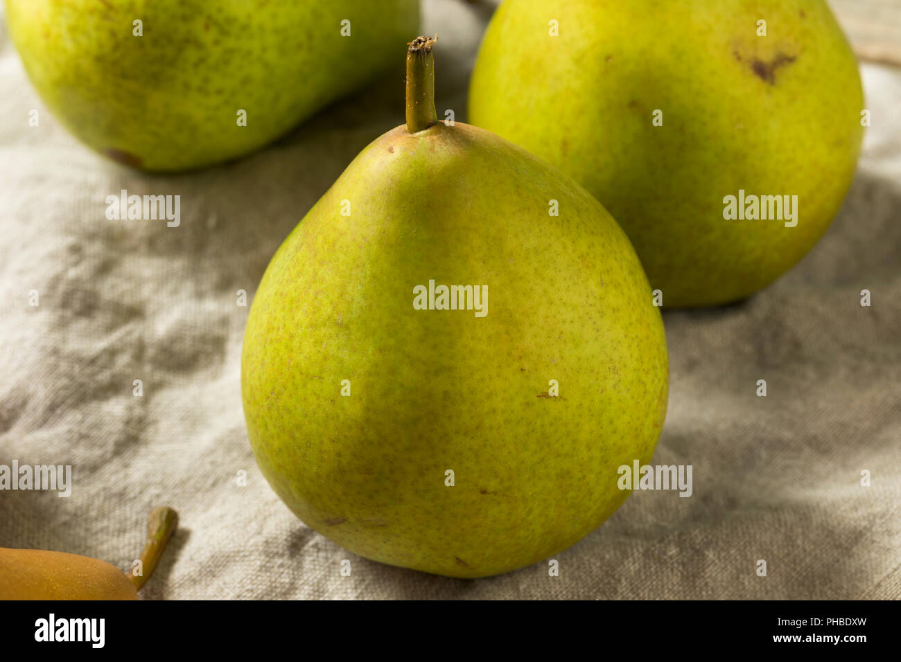 Raw Organic Assorted Pears Ready to Eat Stock Photo - Alamy