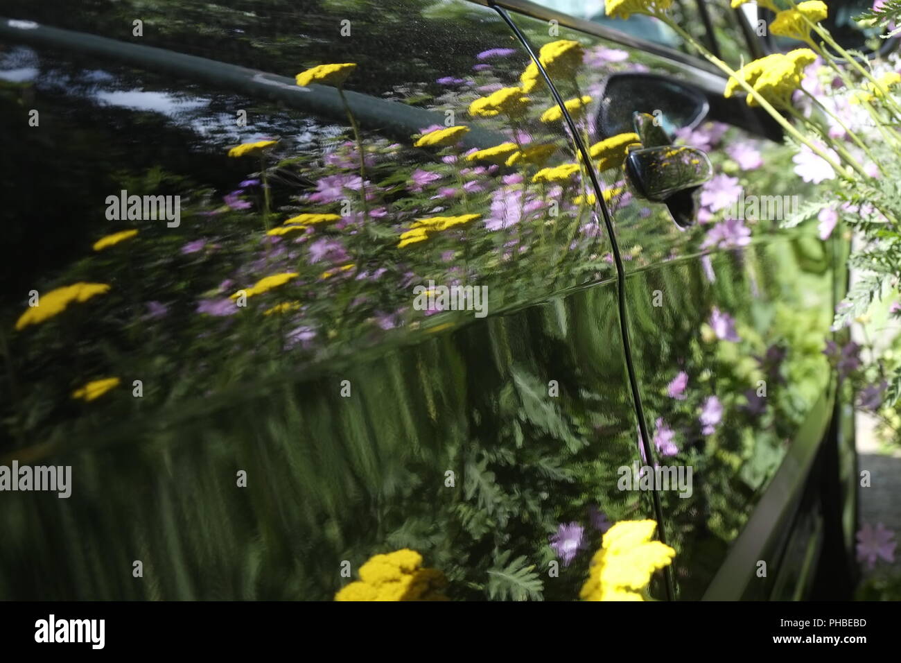Reflection car hi-res stock photography and images - Alamy