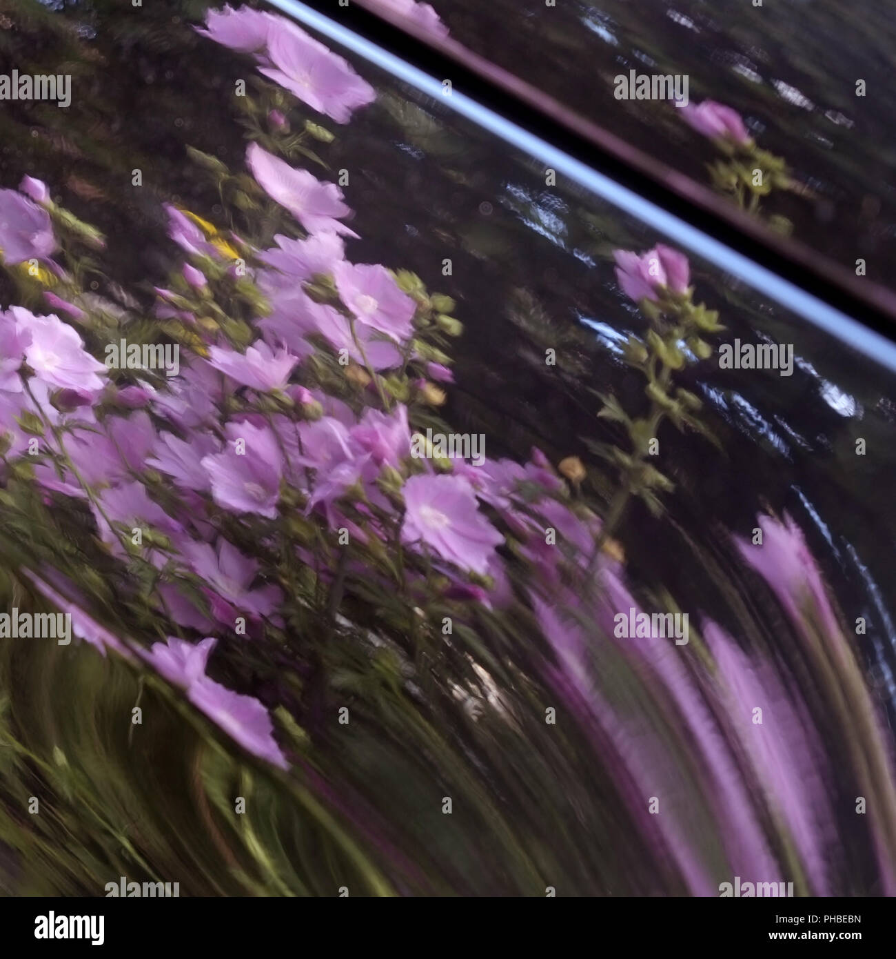 Reflection in car paint Stock Photo - Alamy