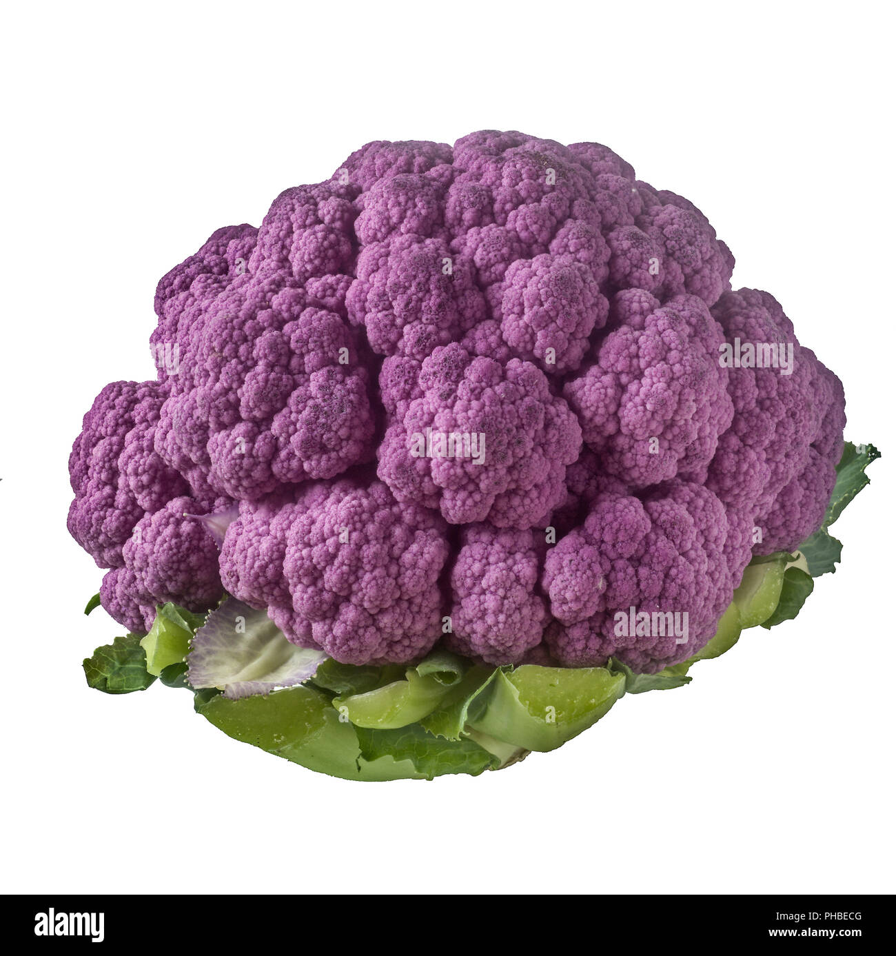 Purple cauliflower, isolated Stock Photo - Alamy
