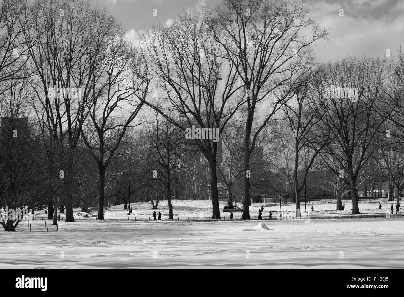 Winter in park Stock Photo - Alamy
