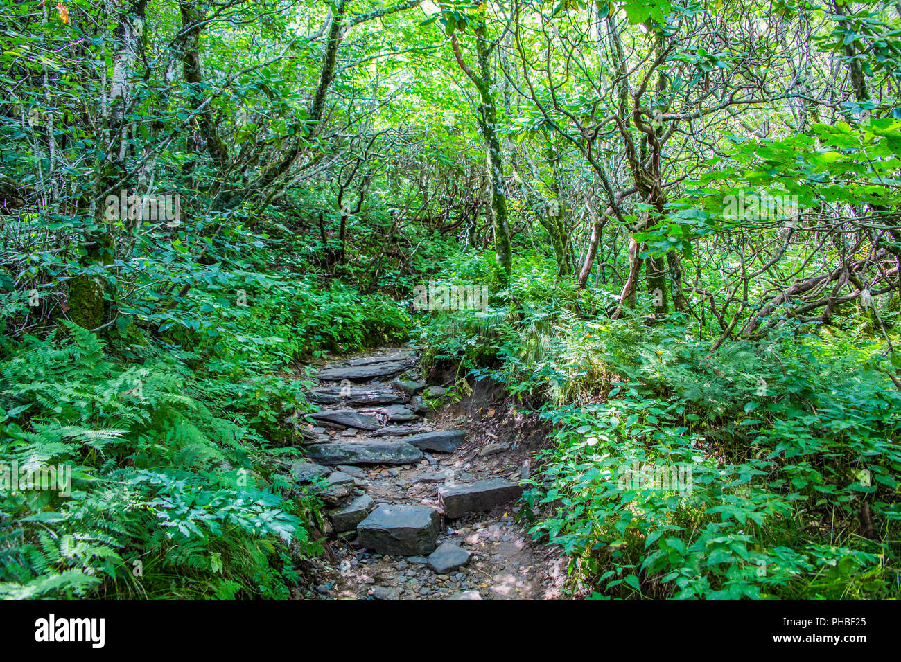 Flat rocks hi-res stock photography and images - Alamy