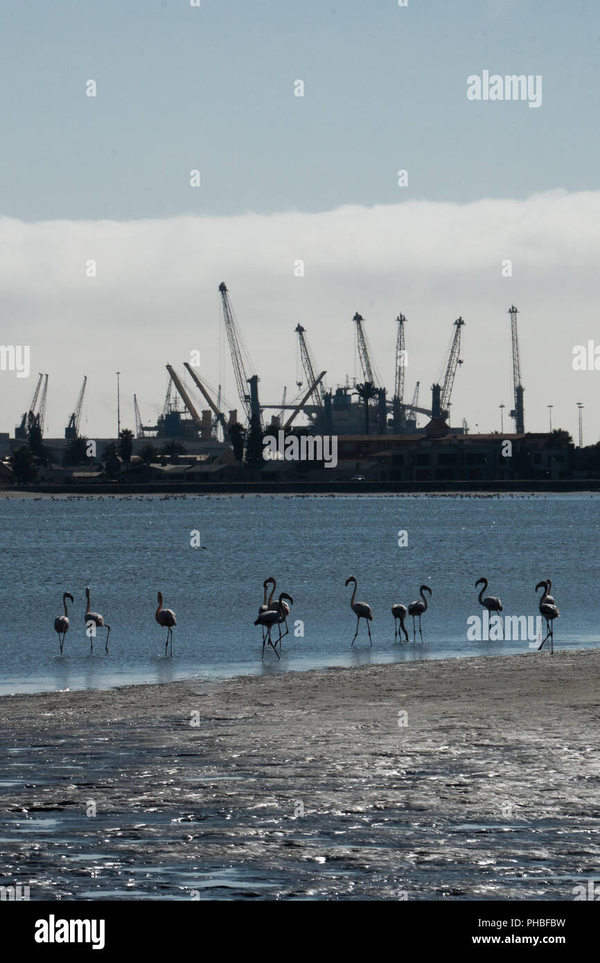 Port of walvis bay hi-res stock photography and images - Alamy