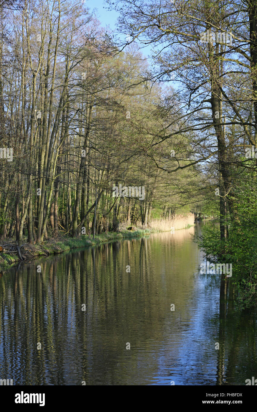 Woods in germany hi-res stock photography and images - Alamy