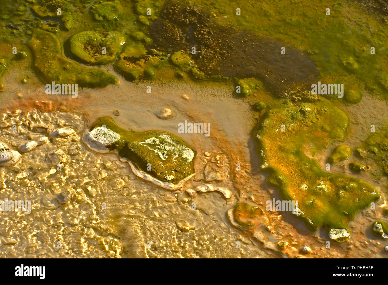 Hot water stream, Orakei Korako Stock Photo - Alamy