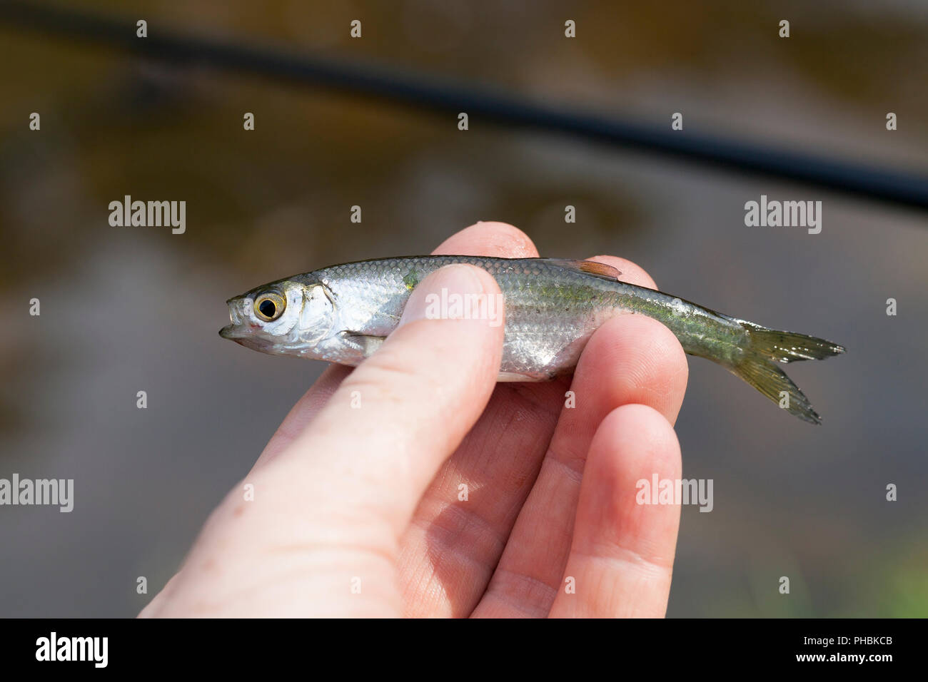 Human hooked hi-res stock photography and images - Alamy