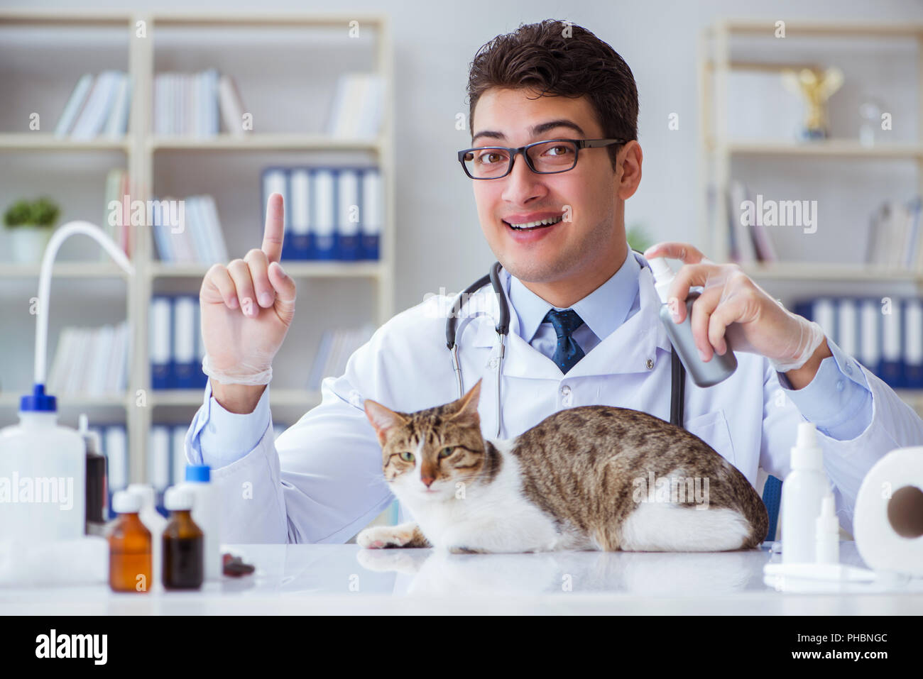 Cat visiting vet for regular checkup Stock Photo - Alamy