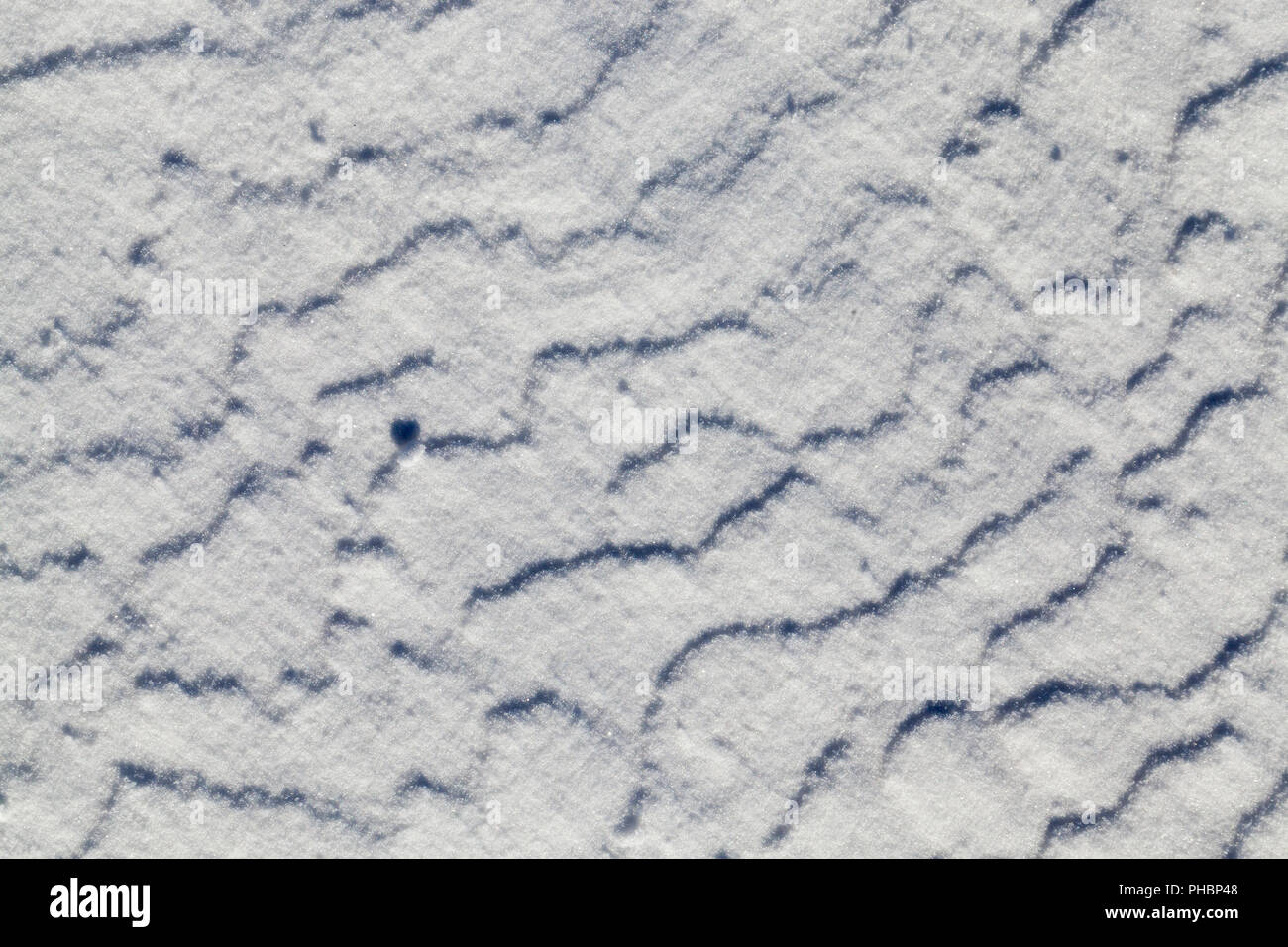 wavy snowy surface in the winter season, created by wind and frost ...