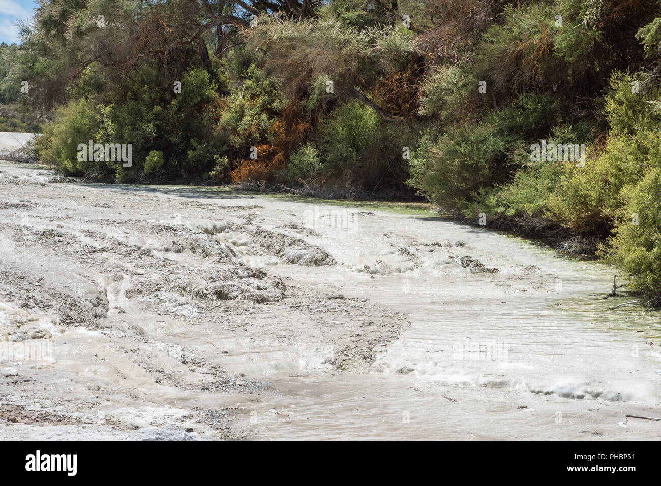Thermal area with grey cooling ground clay at Wai-o-Tapu Geothermal ...