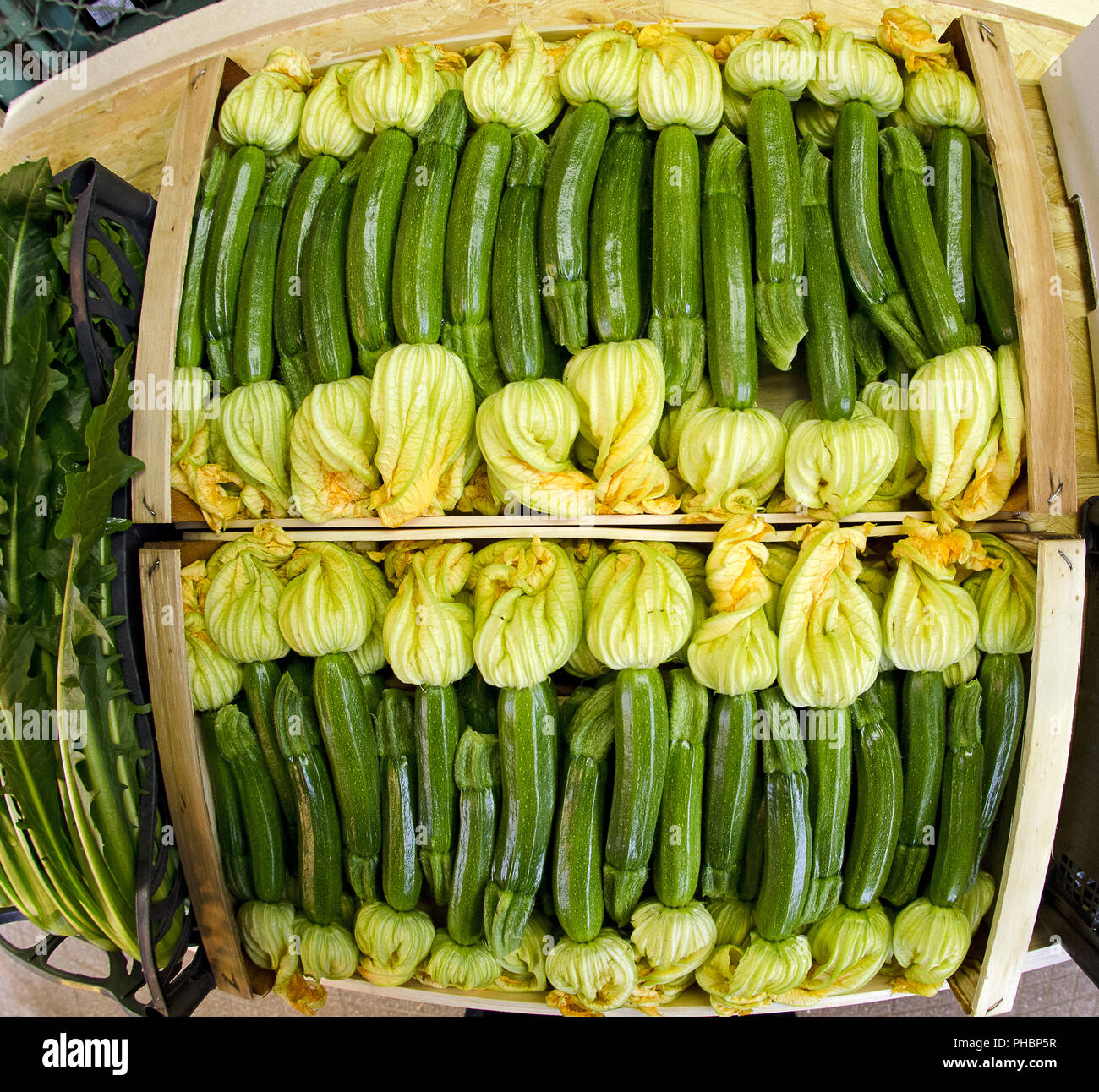 little courgettes with blossoms Stock Photo - Alamy