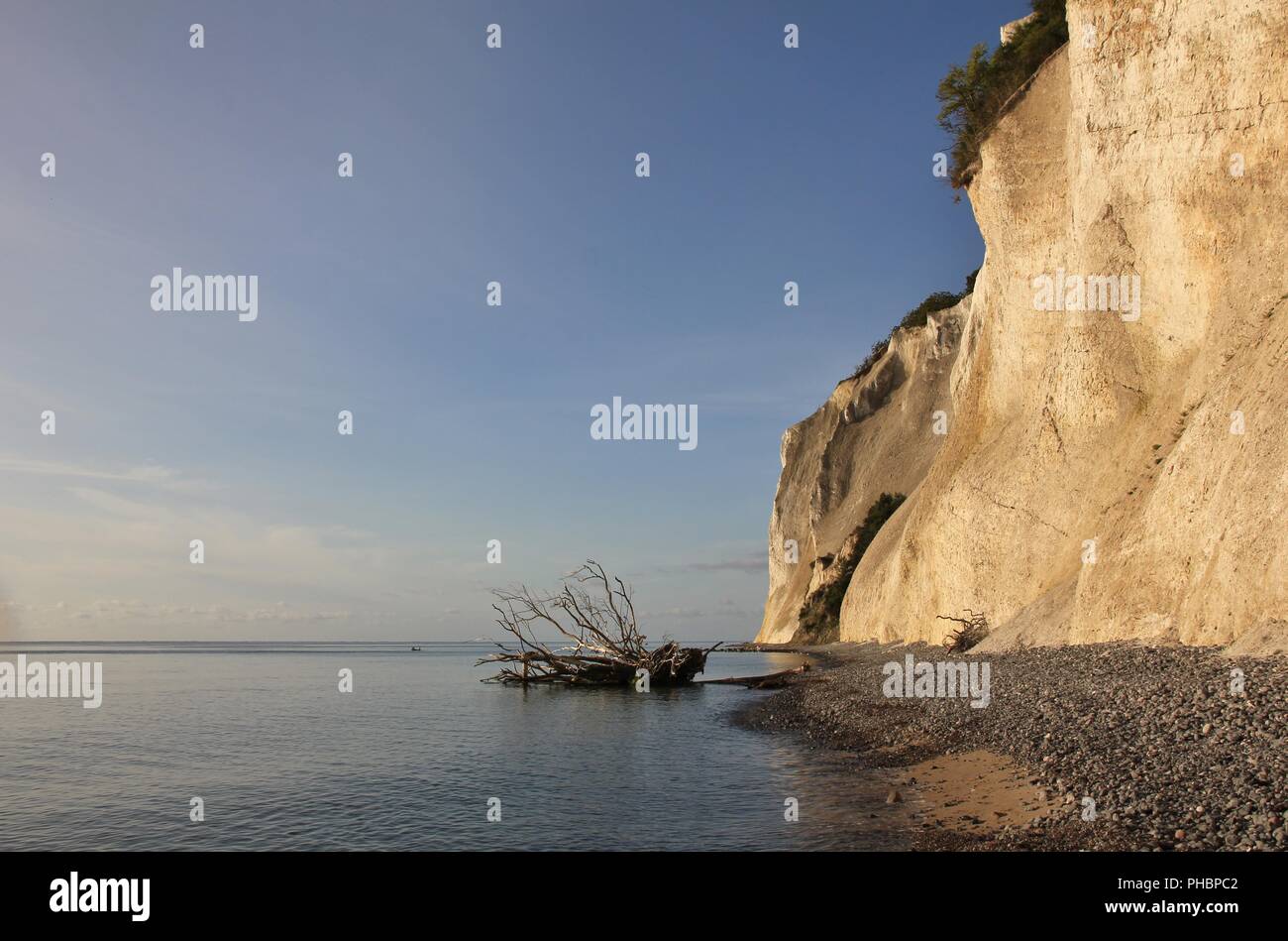 Chalk cliff denmark moen beach hi-res stock photography and images - Alamy