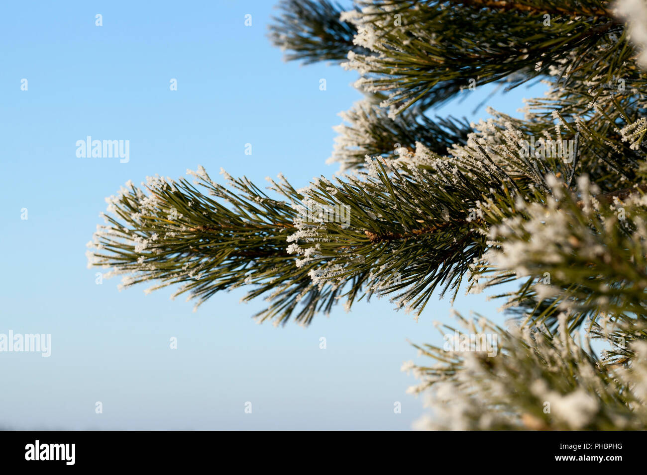 Frosted objects hi-res stock photography and images - Alamy