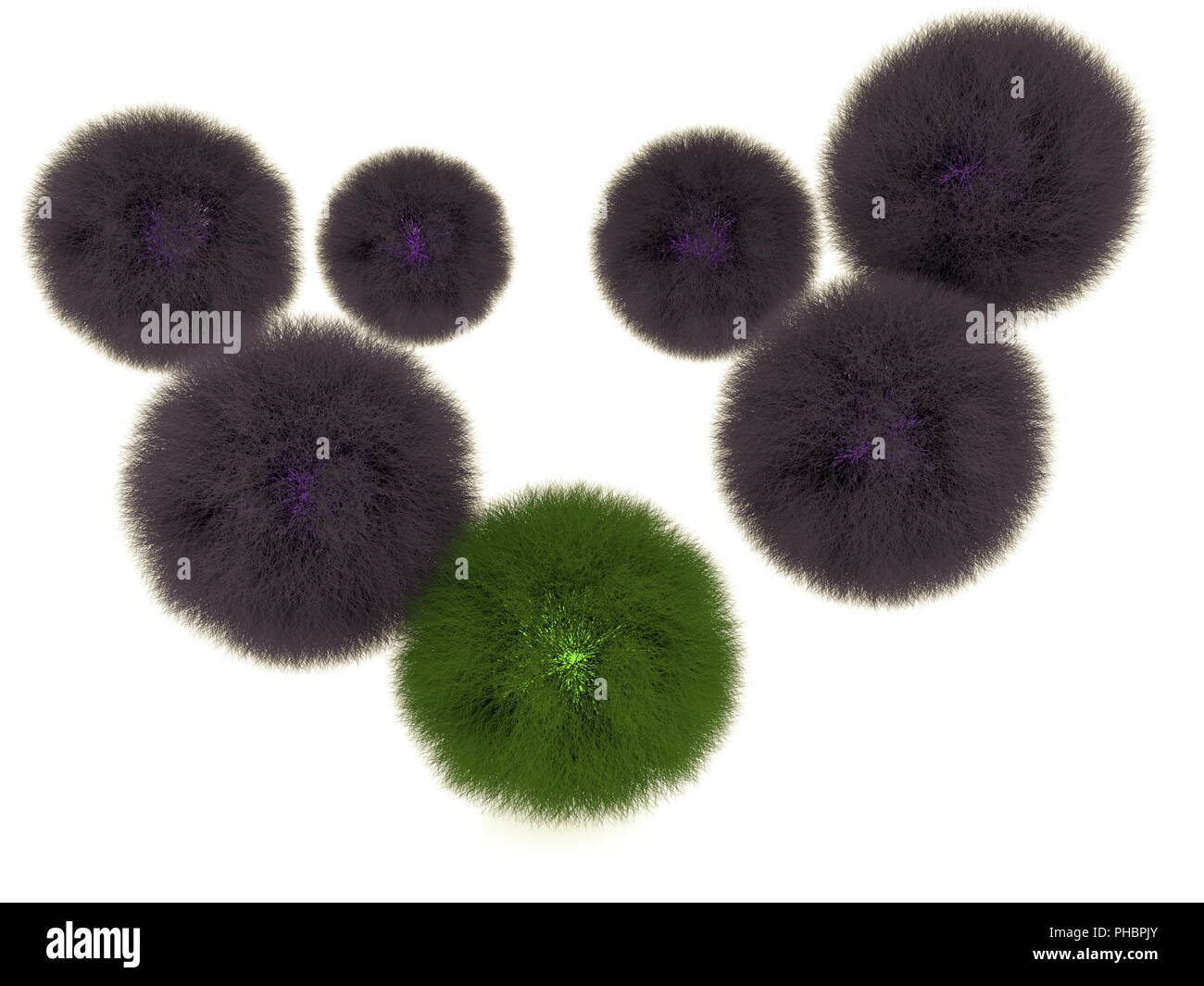 Fluffy balls in green and purple Stock Photo - Alamy