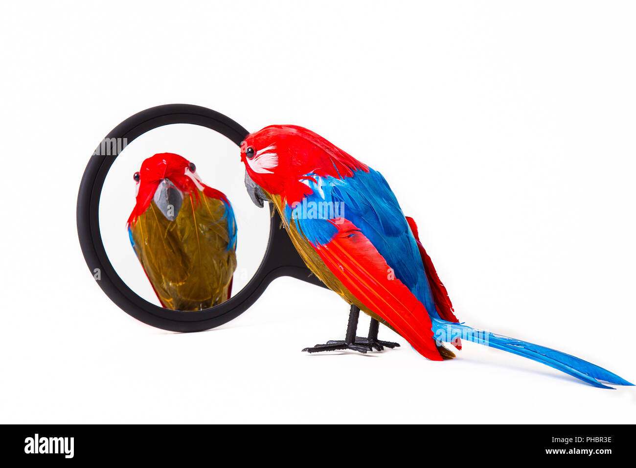 Mirror looking Cut Out Stock Images & Pictures - Alamy