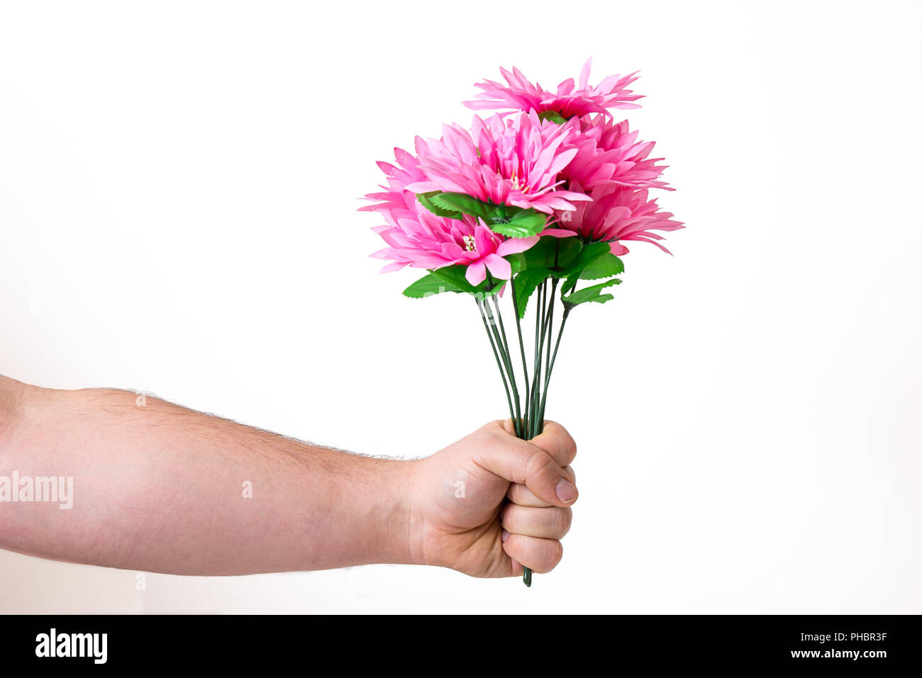 Hand holding flower hi-res stock photography and images - Alamy