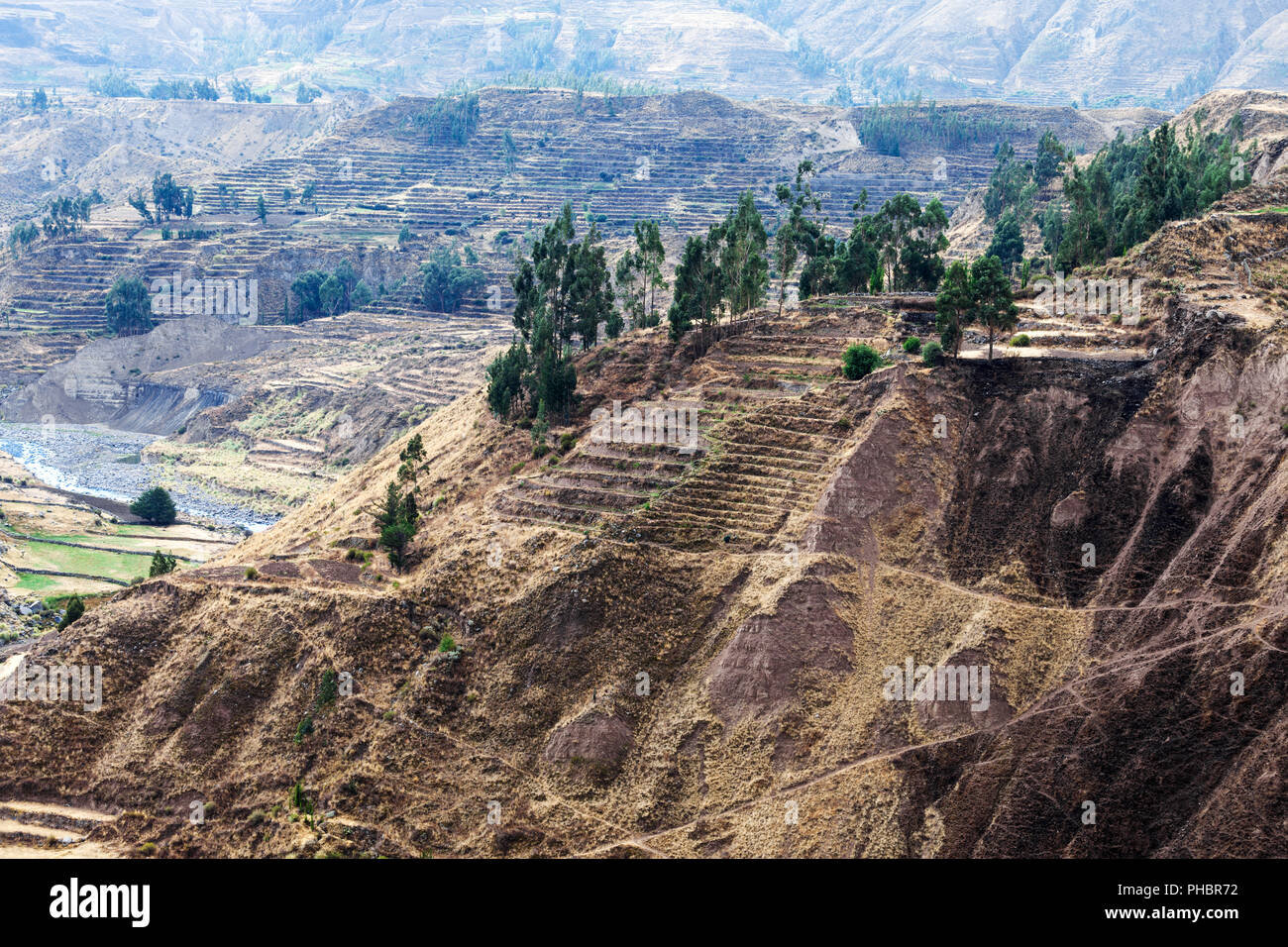 Bank terrace hi-res stock photography and images - Alamy