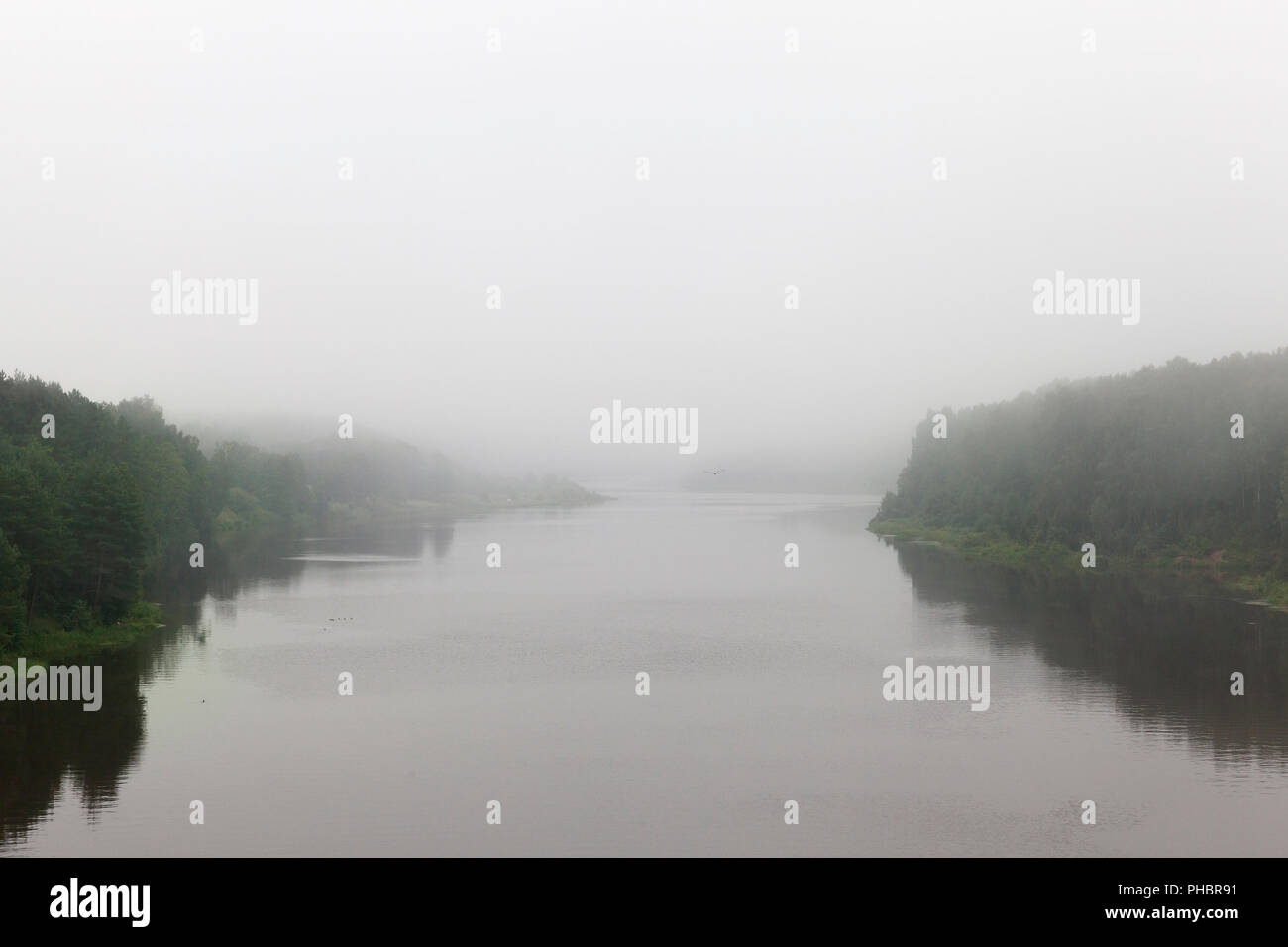 river in cloudy foggy weather, along the coast grow coniferous and ...