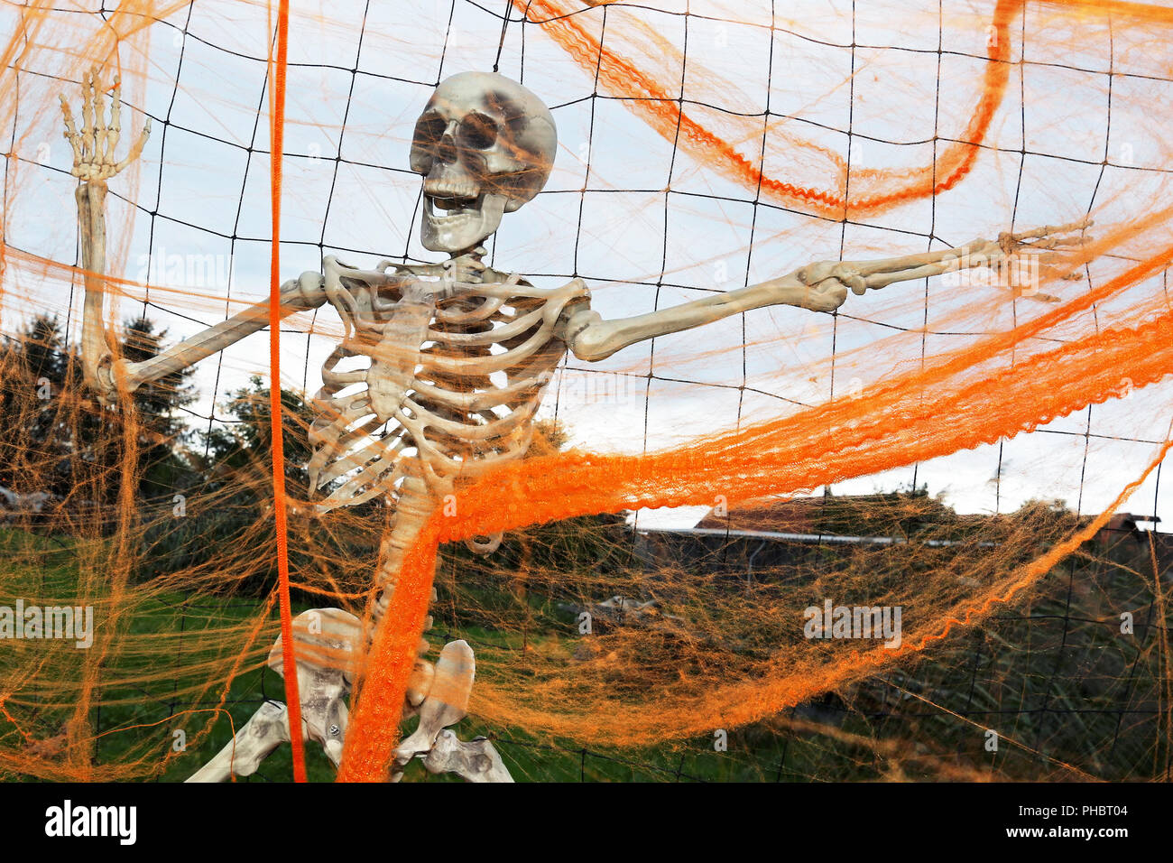 Orange skeleton hi-res stock photography and images - Alamy