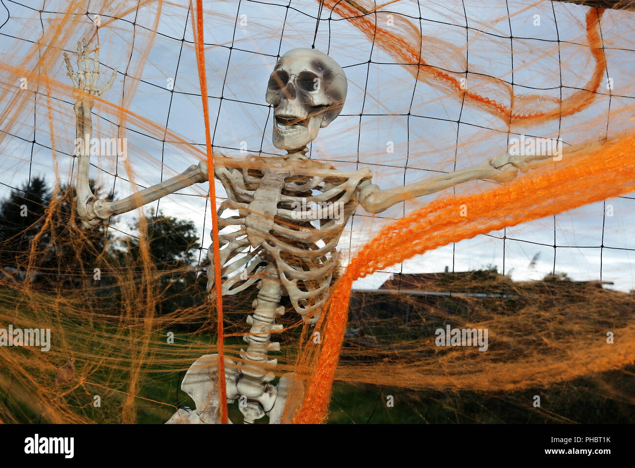 Orange skeleton hi-res stock photography and images - Alamy