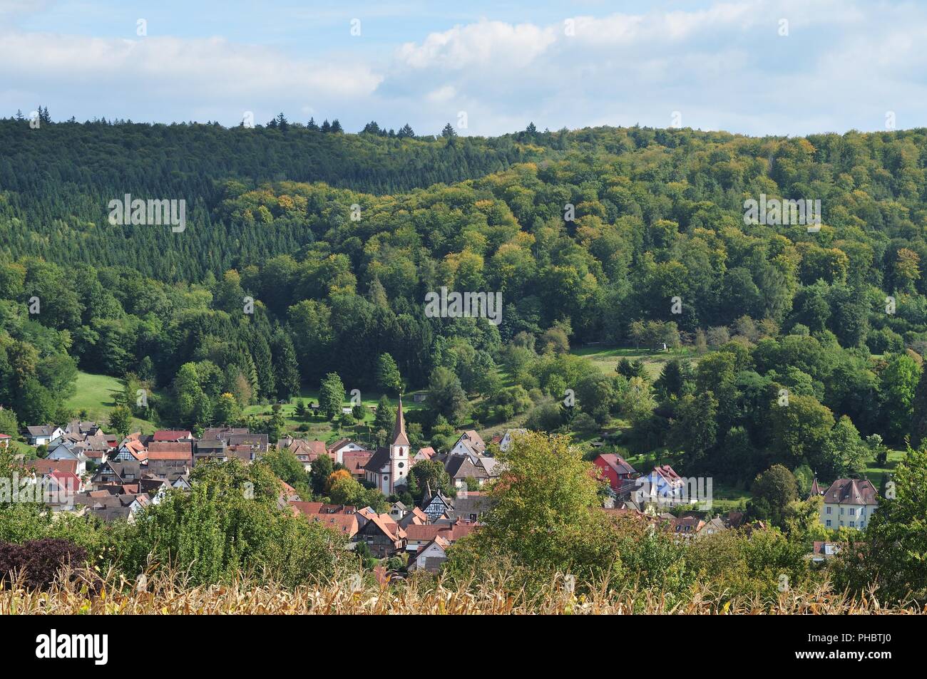 Teningen heimbach hi-res stock photography and images - Alamy