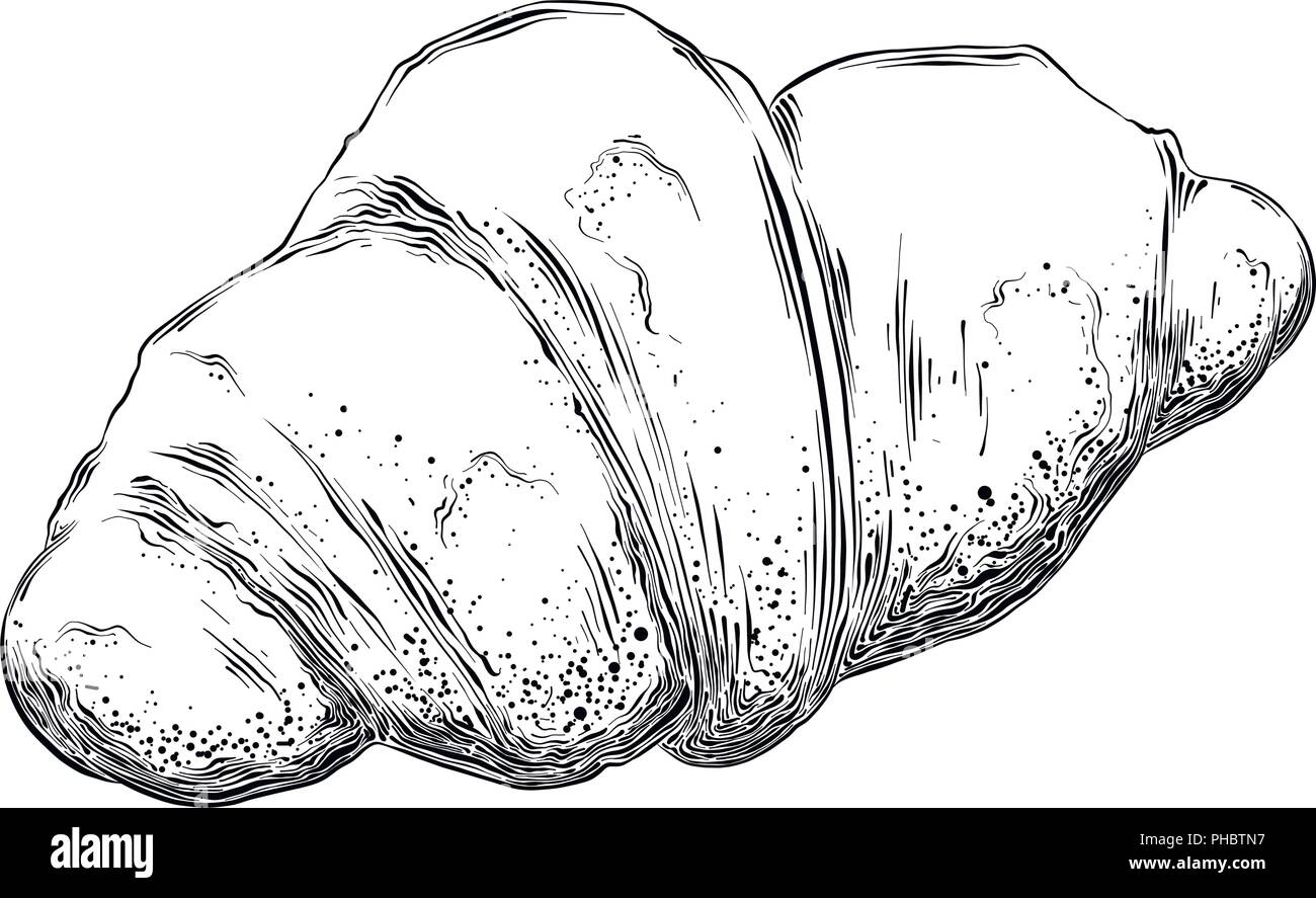 Hand drawn sketch of croissant in black isolated on white background. Detailed vintage style ...
