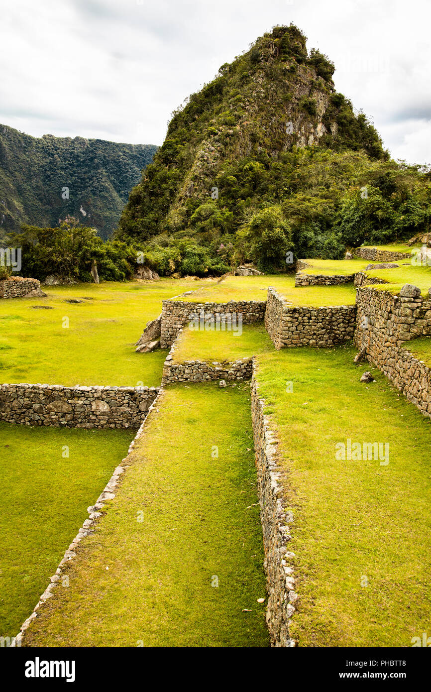 Garden and agricultural terraces in the Sanctuary within Machu Picchu ...