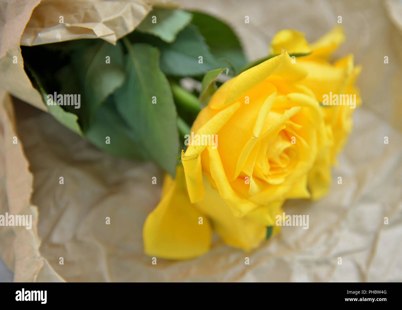 Yellow roses brown paper bag Stock Photo - Alamy