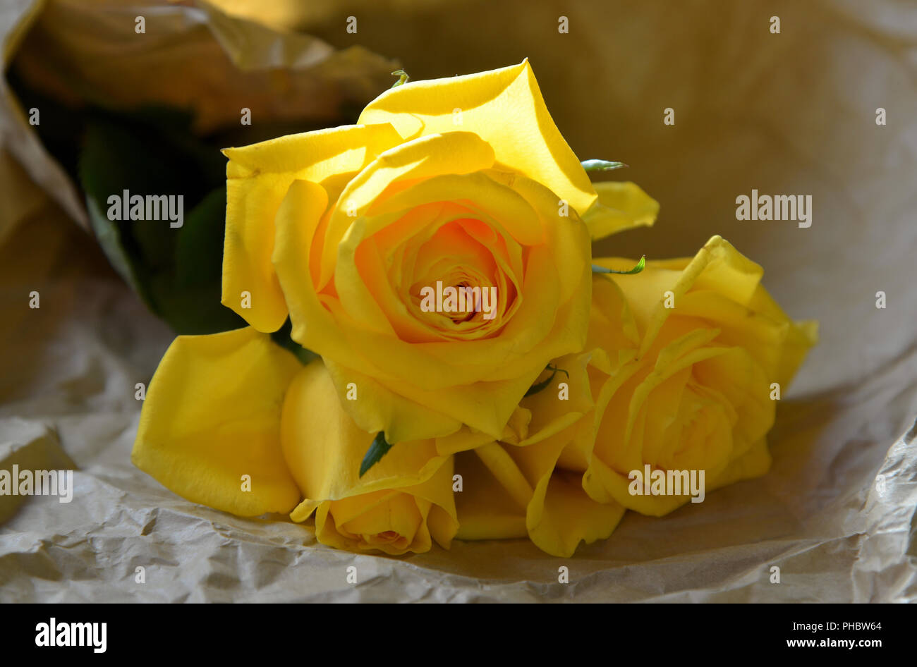 Yellow roses brown paper bag Stock Photo - Alamy