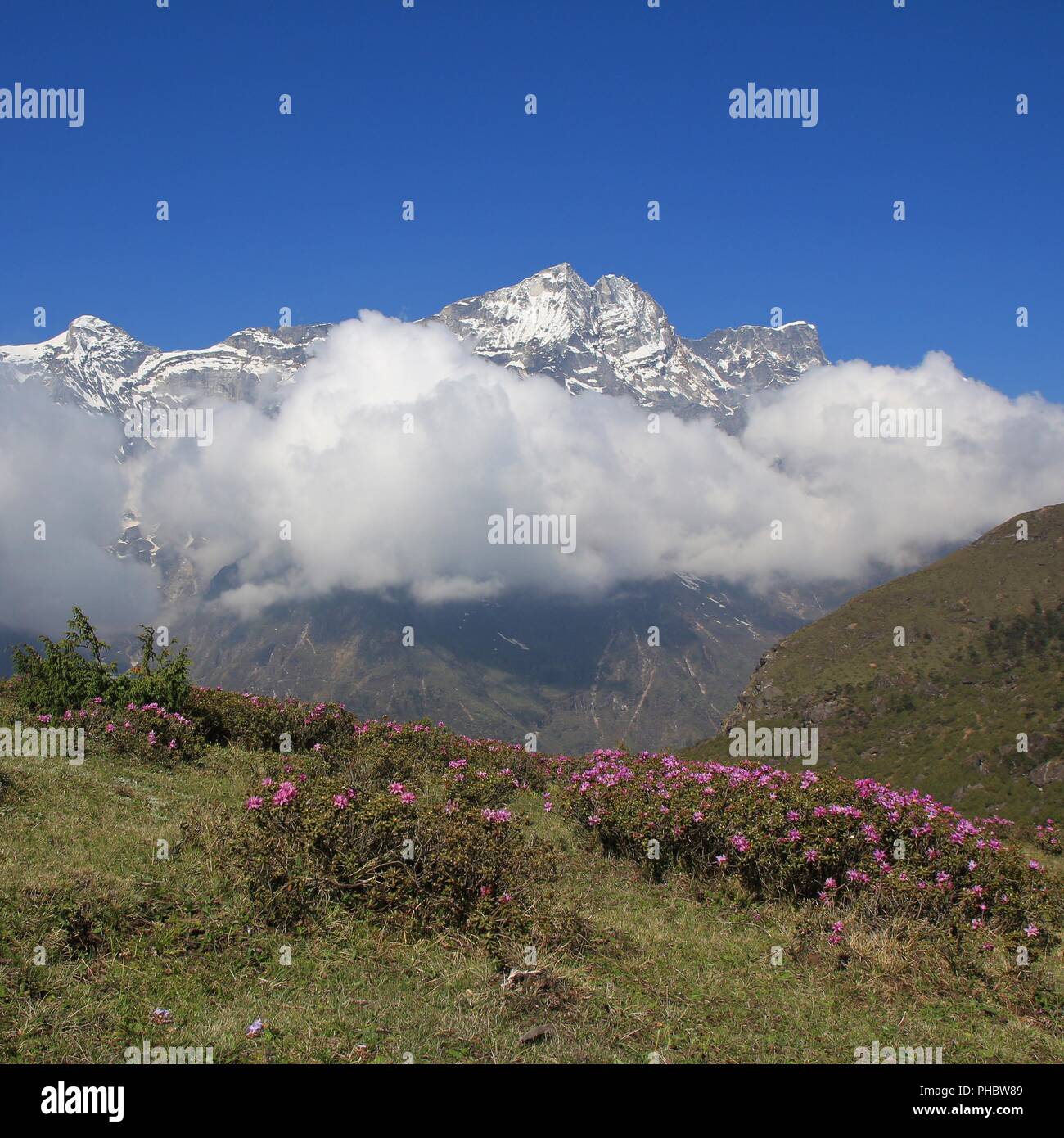 Spring day in the Everest National Park, Nepal Stock Photo - Alamy