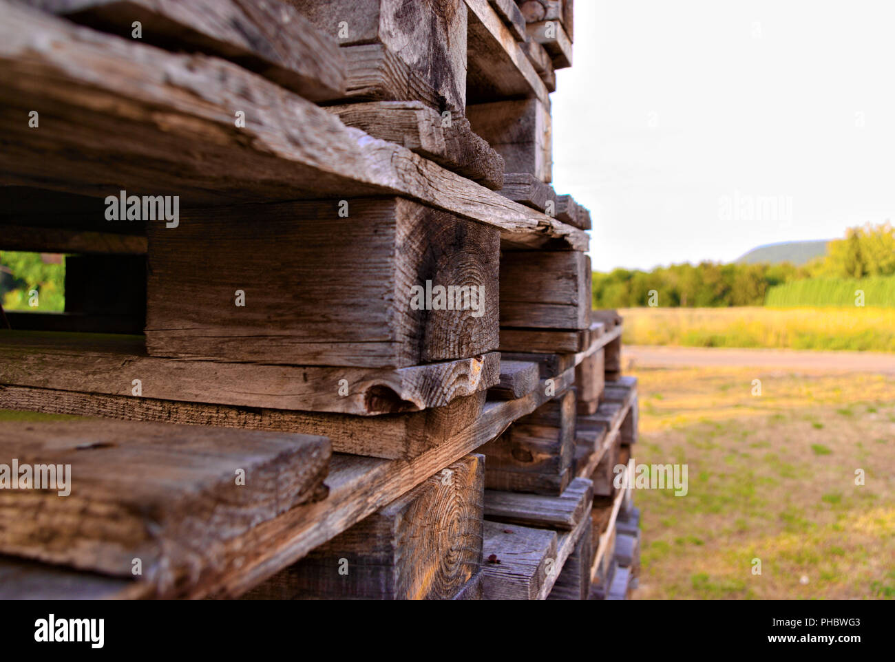 a stack of euro pallets in a detailed shot with green nature in the ...