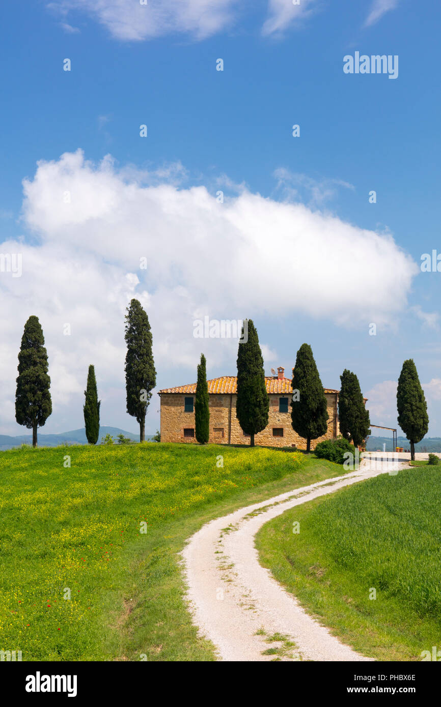 Tuscan villa, winding path and cypress trees with blue sky near Pienza ...