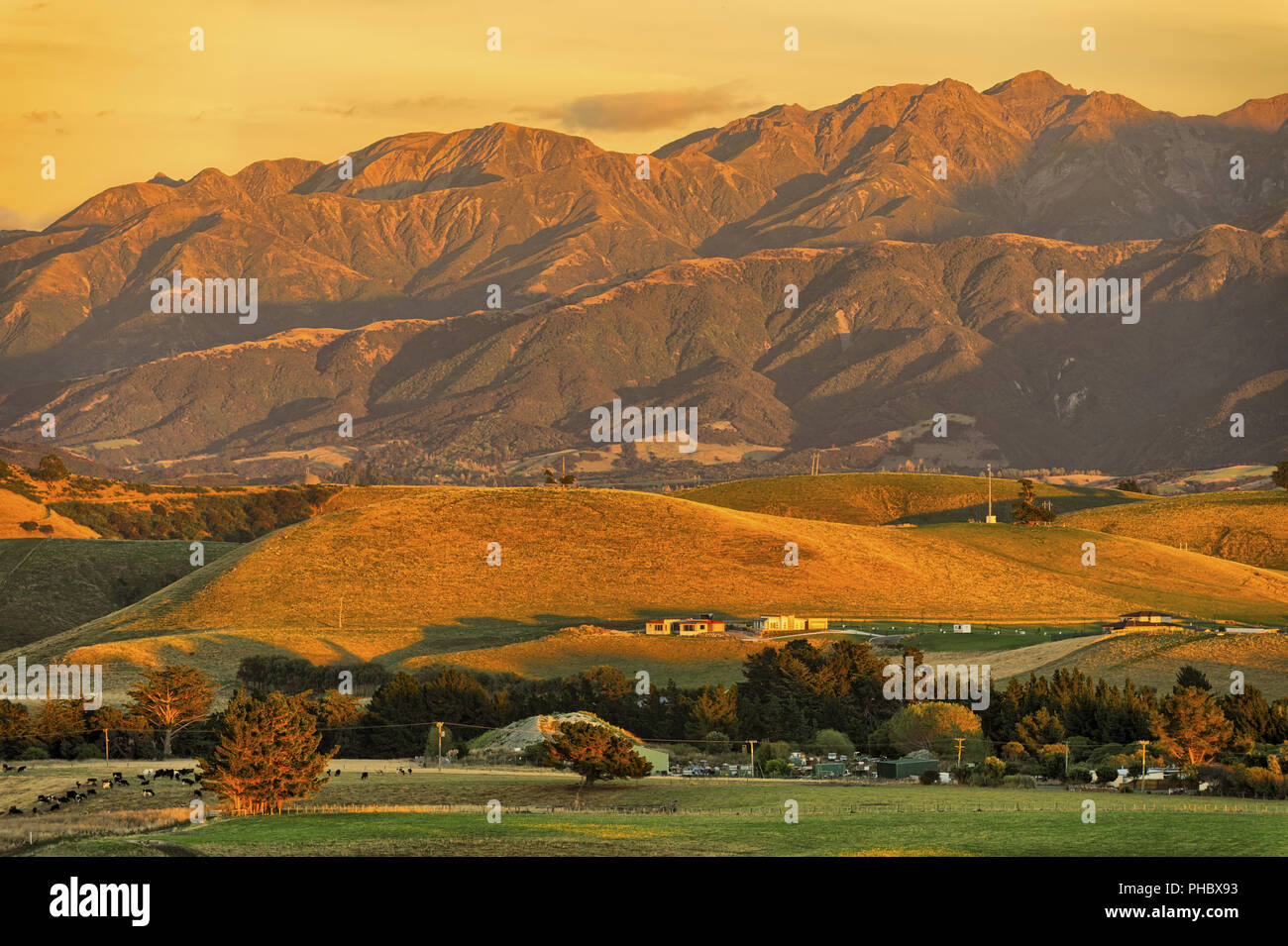 Warm sunrise on the Kaikoura Ranges, New Zealand Stock Photo - Alamy