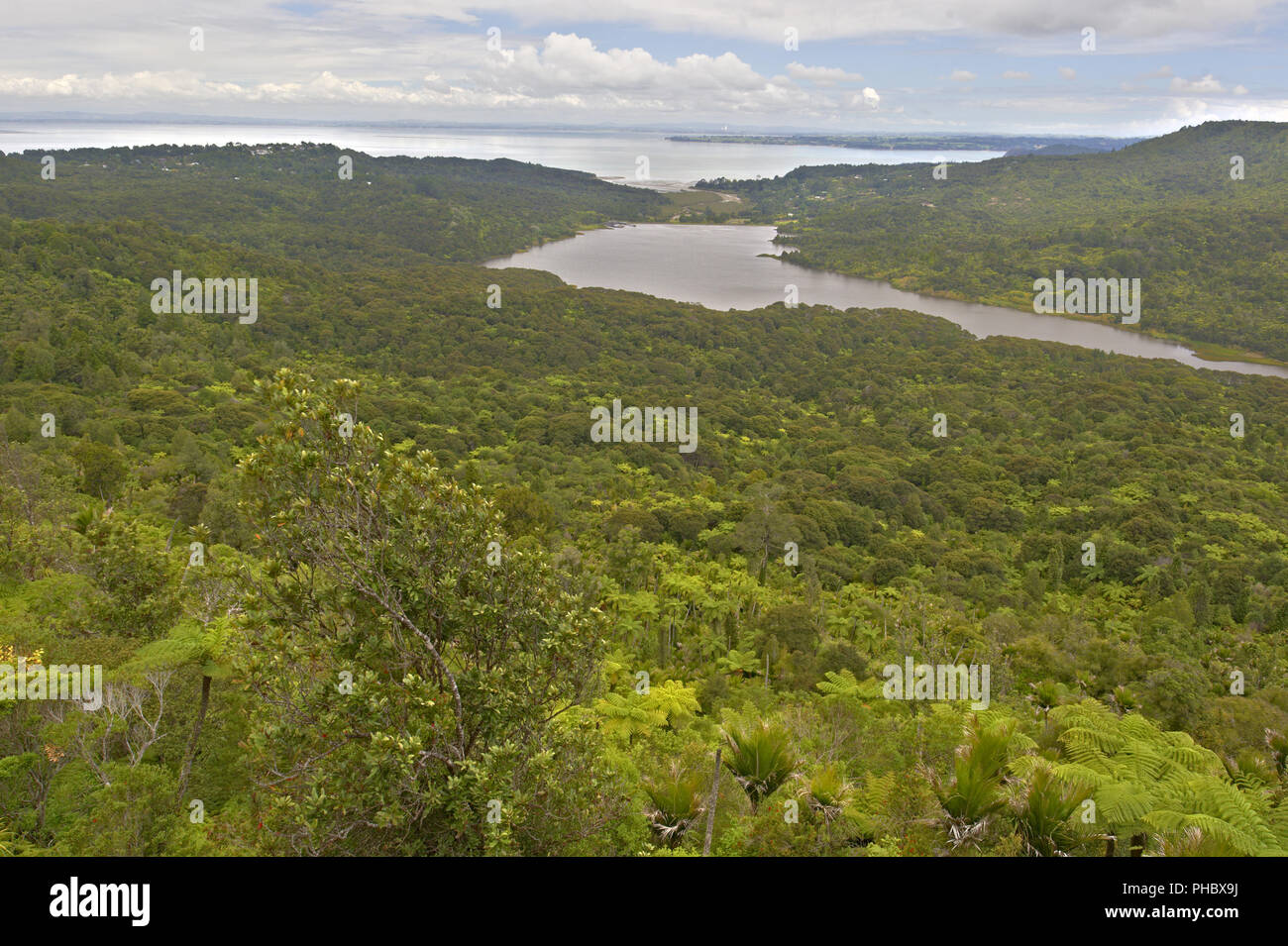 Waitakere ranges hi-res stock photography and images - Alamy