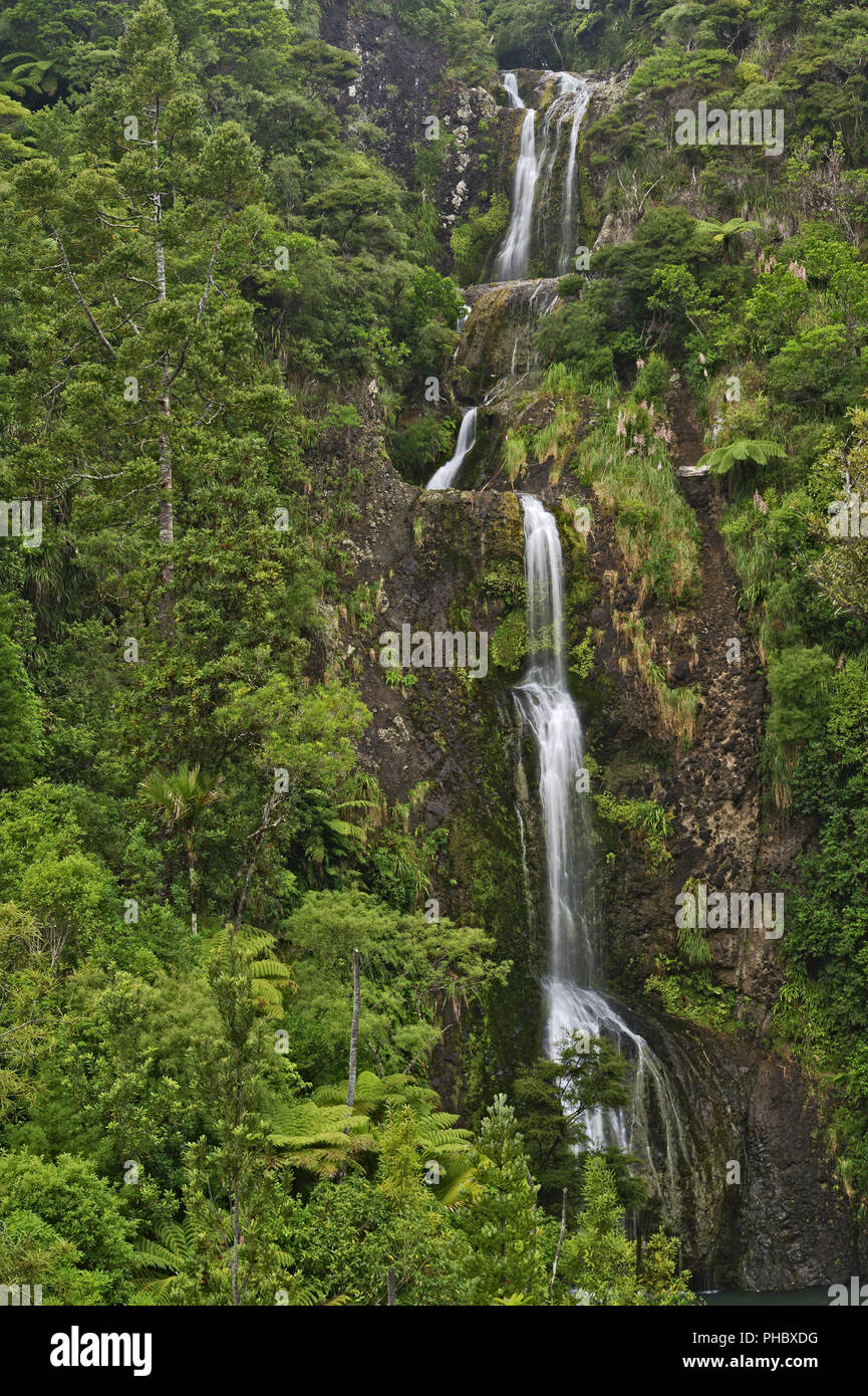 Waitakere ranges hi-res stock photography and images - Alamy