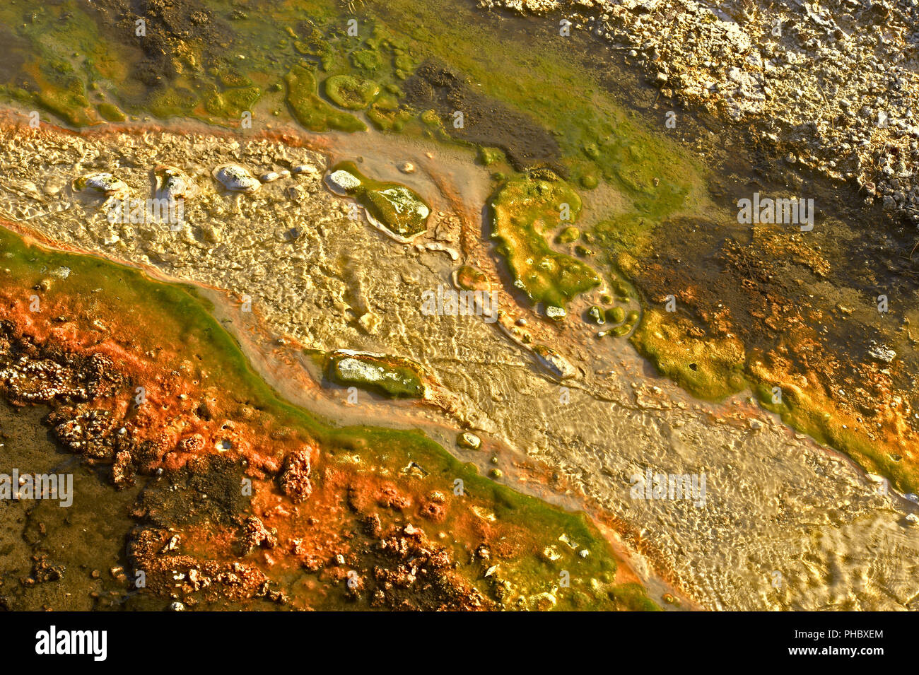 Hot water stream, Orakei Korako Stock Photo - Alamy